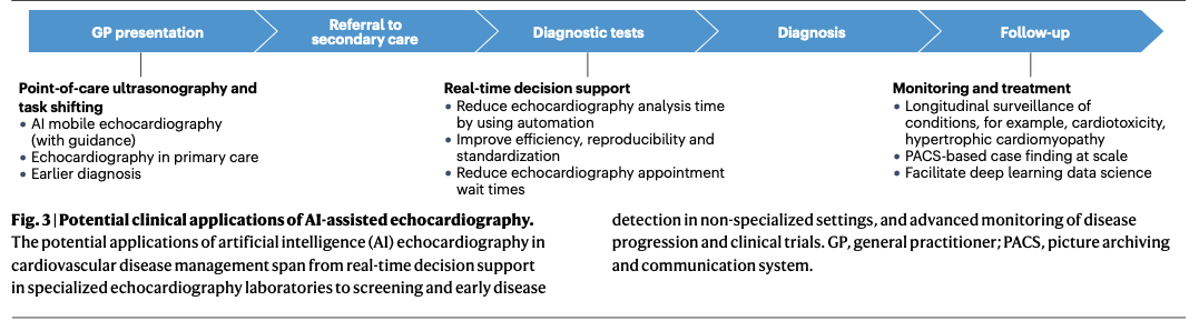 AI Echo in Cardiovascular Disease Management - Us2.ai